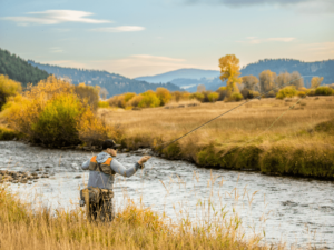 Fly Fishing Rock Creek & More | Guided Montana Fly Fishing